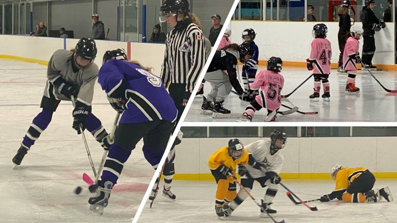 About House League (Scarborough Sharks Girls Hockey Association)